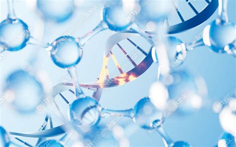 Gene Mutation And Molecular Structure 3d Rendering 이미지 1663535739 일러스트 무료 일러스트 게티이미지뱅크