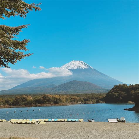Lake Shojiko 🏔️🏞️ ฟูจิคาวากุจิโกะ