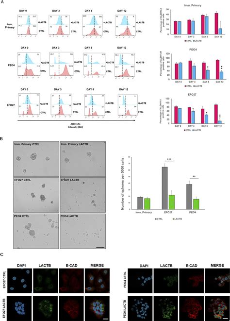 Lactb Induction Affects Stemness Properties In Ovarian Cancer Cells