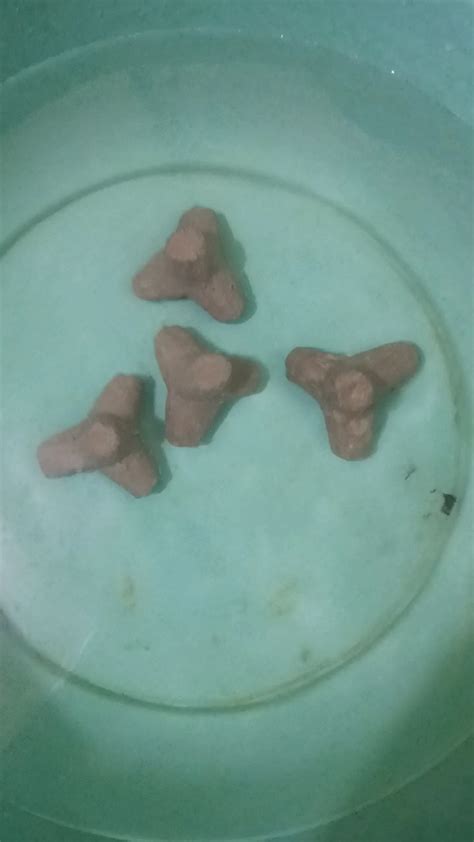 Datasets Awal Ta Object Detection Dataset And Pre Trained Model By Proyekakhir