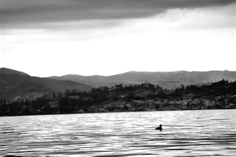 무료 이미지 눈 검정색과 흰색 보트 호수 단색화 주유 흑백 사진 6000x4000 115637 무료