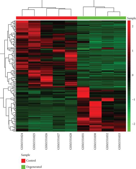 Identification Of Differentially Expressed Circrnas Lncrnas Mrnas Download Scientific