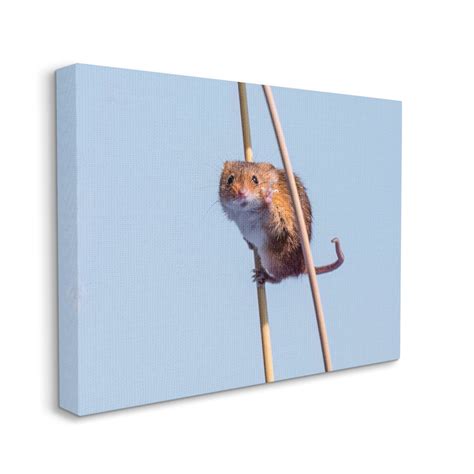 Ebern Designs Funny Balancing Mouse By Michael Erwin Wayfair