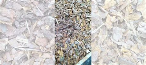 Мульча сосны купить в Перми | Товары для дома и дачи | Авито