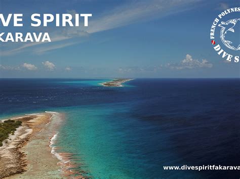 Te Ava Nui All You Should Know Before Going 2026 With Reviews