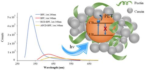 Antioxidants Free Full Text Green Carbon Dots As Additives Of Biopolymer Films For