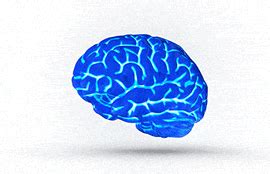 S De Cerebros Humanos