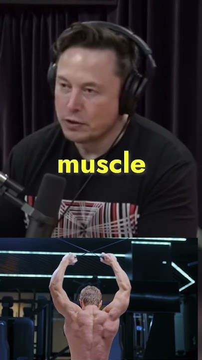 Neuralink Restoring Mobility And Transforming Lives Youtube