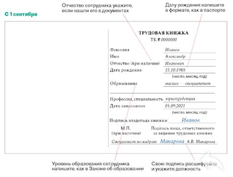 Трудовые книжки нового образца начнут использовать с 2023 года