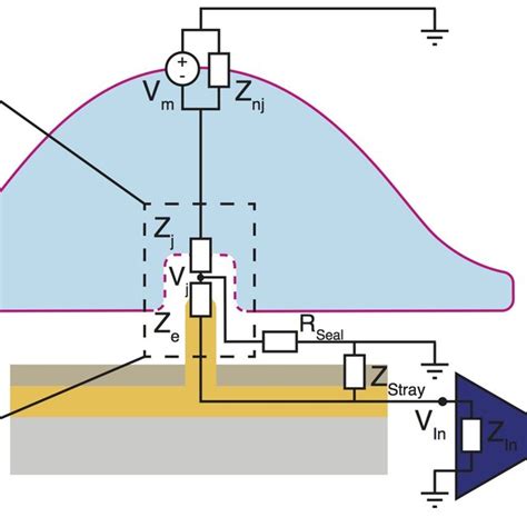 Schematic Drawing Of Multi Electrode Array Mea System With Download Scientific Diagram
