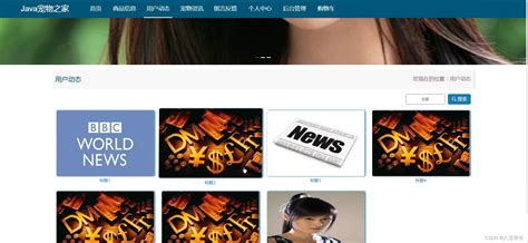Java毕设项目宠物之家（javavuemybatismavenmysql）用java做一个宠物之家的游戏 Csdn博客