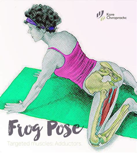 Stretching Frog Pose Targeted Muscles Adductors It Is Recommended