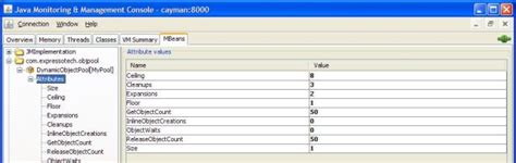 expresso technologies inc dynamic object pool