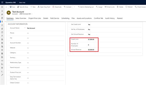 xrm formula 263 dynamic generation of updaterecord attributes