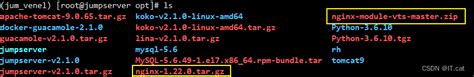 Nginx编译安装监控模块nginx Module Vtsnginx Module Vts Master Csdn博客