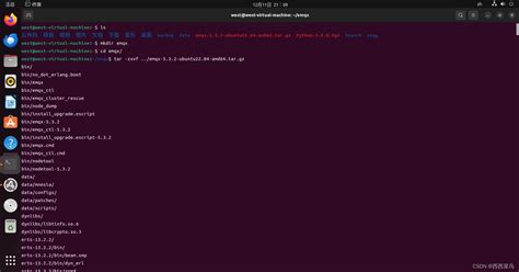 ubuntu部署emqx开源版mqtt服务器 orange pi部署 服务器部署 乌班图离线安装emqx csdn博客