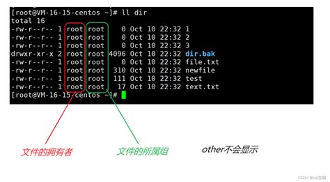 Linux权限理解一 阿里云开发者社区