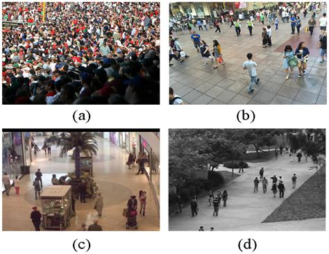domain adaptive crowd counting via dynamic scale aggregation network