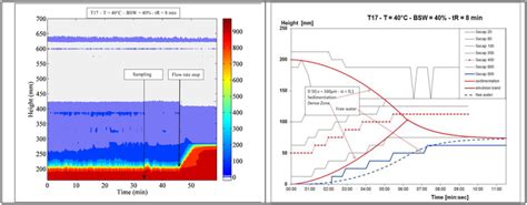 a and 6b—example of coalescence parameter determination interface