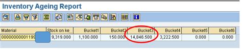 New Inventory Ageing Report SAP Community
