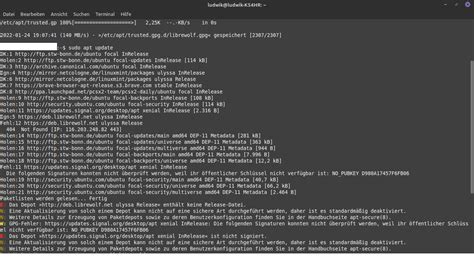 update issues r linuxmint