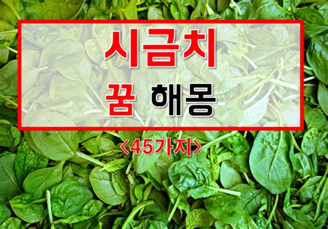 시금치 꿈 45가지 해몽 시금치 먹는 꿈 사는 꿈 보는 꿈 버리는 꿈 심는 꿈 따는 꿈 씻는 꿈 요리하는 꿈 Helpful Information