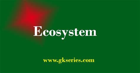 Ecosystem Very Short Questions And Answers Ecosystem Quiz