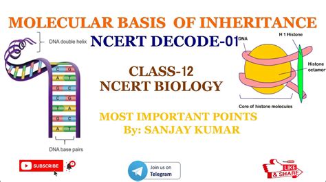 Dna Molecular Basis Of Inheritance Ncert Decode 01 Class 12 Biology