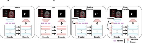 Figure From Prompt Based Tuning Of Transformer Models For Multi Center Medical Image