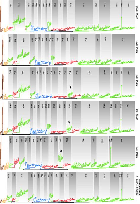 Tree Topology Is Not An Artifact Of Molecular Rate Heterogeneity