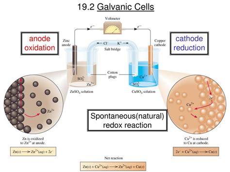 Ppt 192 Galvanic Cells 193 Standard Reduction Potentials 194