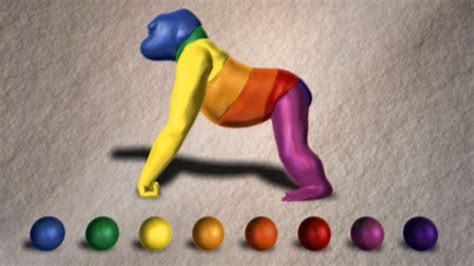 Homeobox Genes Genetic Tool Kit Pbs Learningmedia