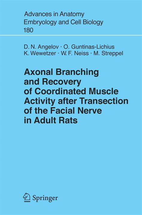 Axonal Branching And Recovery Of Coordinated Muscle Activity After Transsection Of The Facial