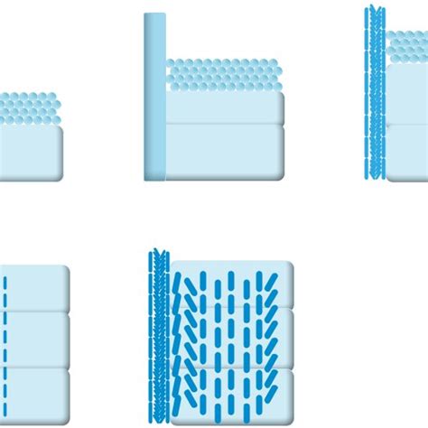 A E Schematic Illustration Showing The Organized Formation Of
