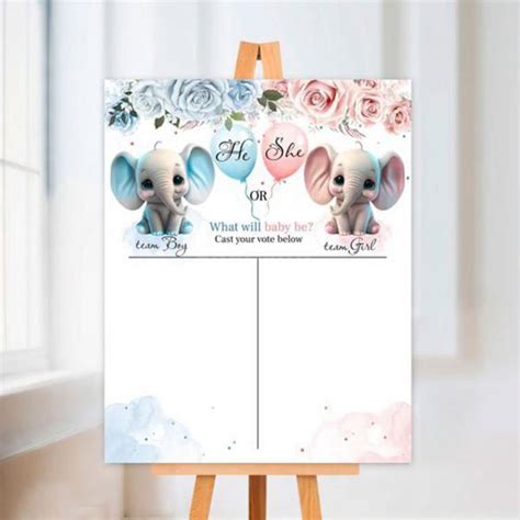 Experience Fun Gender Prediction With Our Guess The Baby Game Delhi NCR