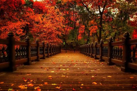 November Nature Wallpapers Top Free November Nature Backgrounds Wallpaperaccess