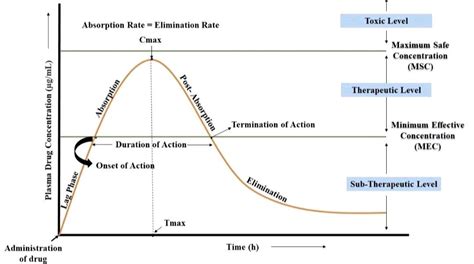 Prachi Pandey On Linkedin Auc Curve Made By Me