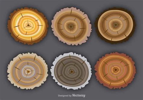 Tree Rings Vector Art Icons And Graphics For Free Download