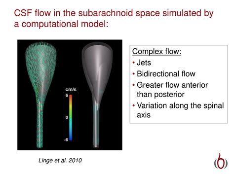 PPT CSF Flow In Chiari I And Syringomyelia PowerPoint Presentation Free Download ID 2419433