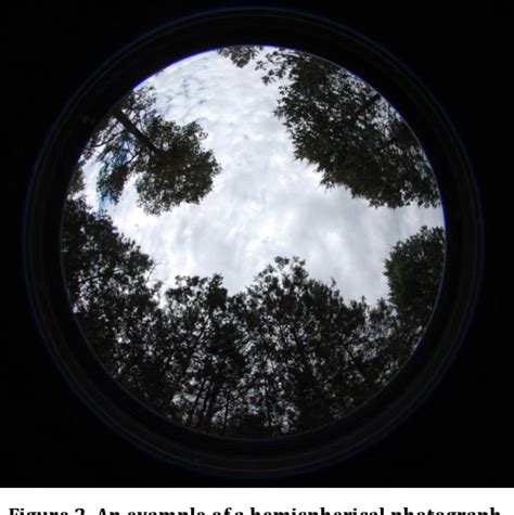 Figure 2 From Validation Of Canopy Height Profile Methodology For Small