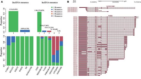 Figure From A Comprehensive Overview Of LncRNA Annotation Resources Semantic Scholar