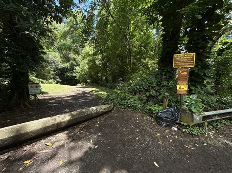 Hiking The Judd Trail And Jackass Ginger Pool On Oʻahu Hawaiʻi — Noahawaii