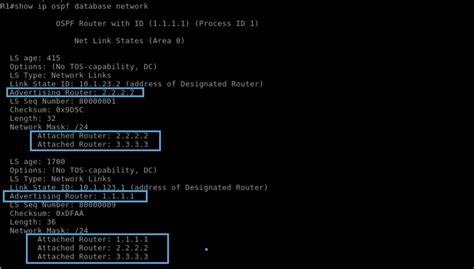 Top 11 OSPF LSA Types Explained 2025