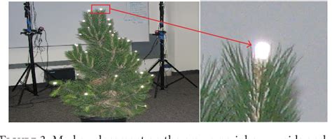 Figure 1 From Reconstructing 3d Tree Models Using Motion Capture And Particle Flow Semantic