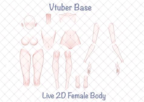 Vtuber Basics Body Live 2d Female Bodybasecharacterunrigged