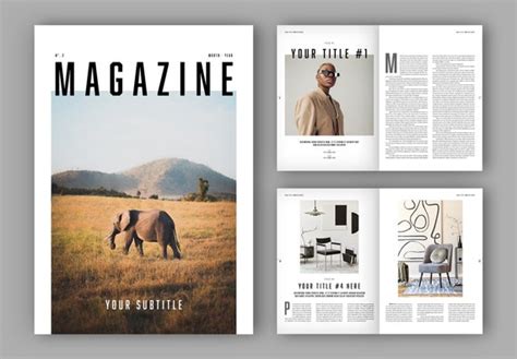 Magazine Layout Ideas Indesign