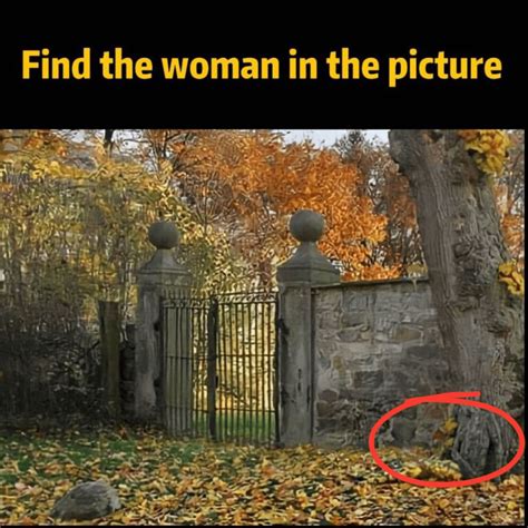 Can You Spot The Hidden Woman In This Optical Illusion Test Your