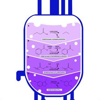 Computational Enzyme Engineering Pipelines Module 1 Download Scientific Diagram