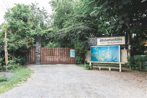 เดินทาง ไป บางกระเจ้า โอเอซิสใกล้กรุง ใน 1 วัน รีวิวที่เที่ยวเพียบ