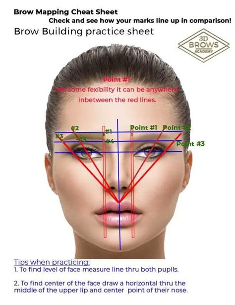 Step By Step Brow Mapping Guide And Diagram